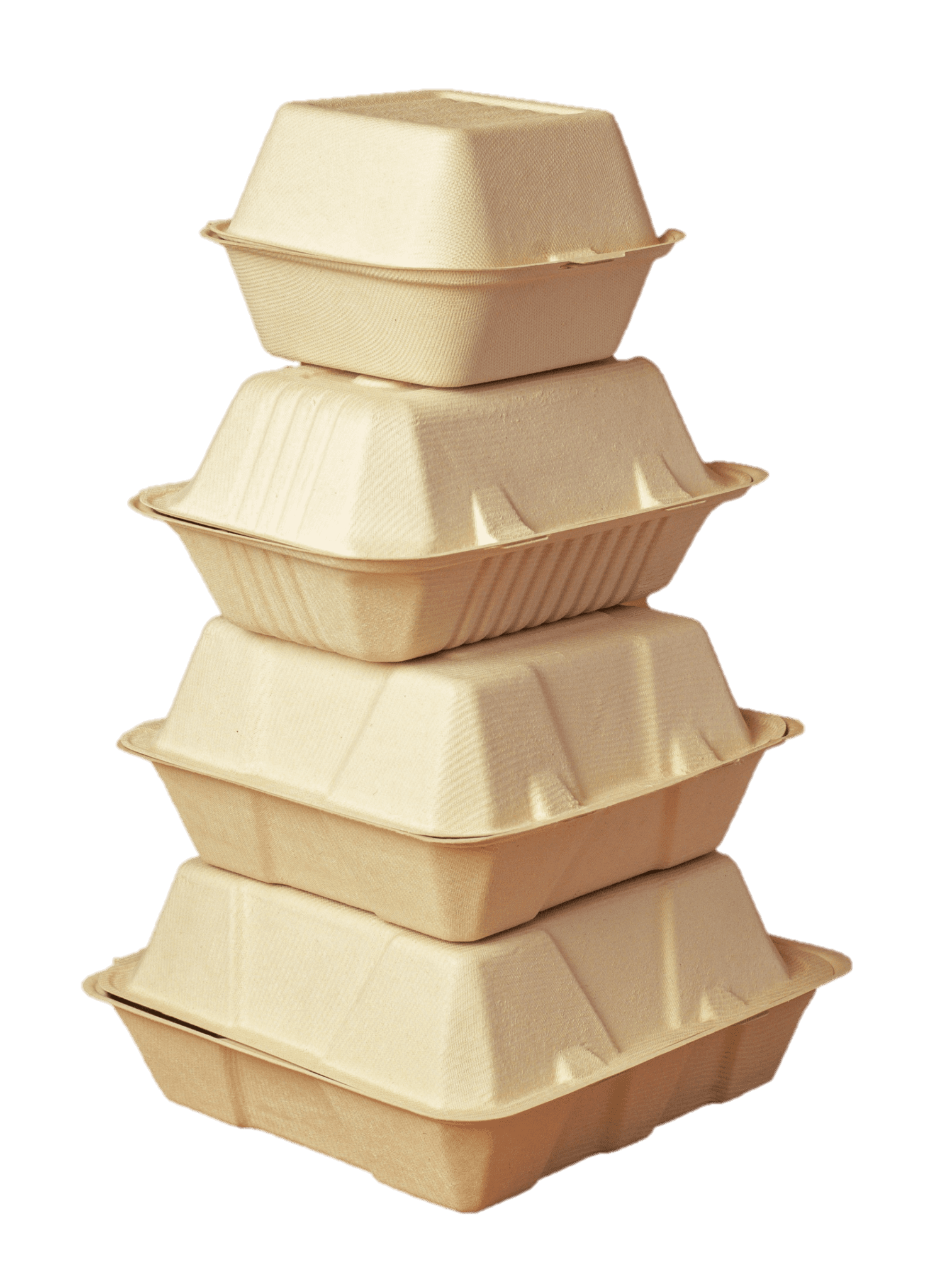 EcoFibre – Innovative Sustainable Packaging