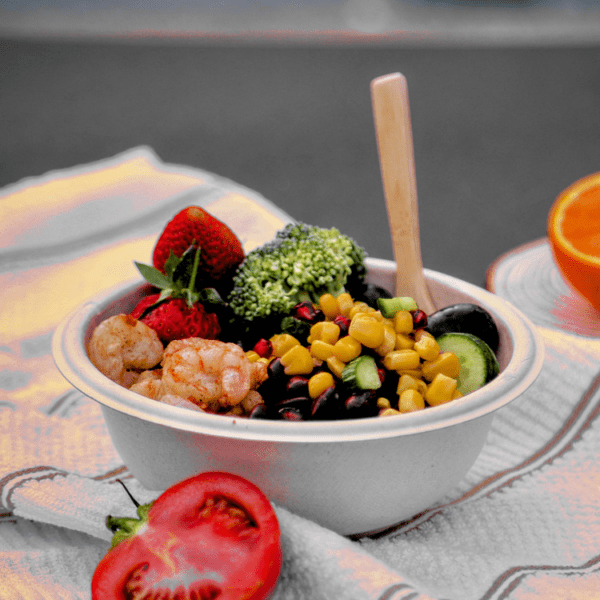 EcoFibre – Innovative Sustainable Packaging