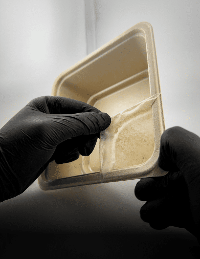 EcoFibre – Innovative Sustainable Packaging